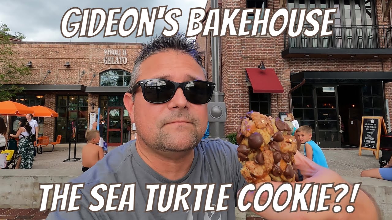 Gideon's Bakehouse Sea Turtle Cookie Review And Virtual Queue ...