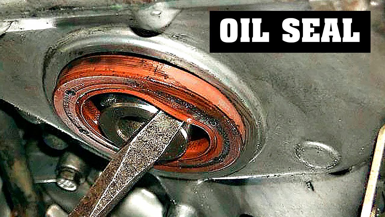 How to Remove any Oil Seal the Easiest Way - YouTube