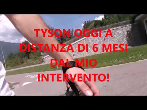 TYSON, L'AMSTAFF TERRIBILE 6 MESI DOPO!