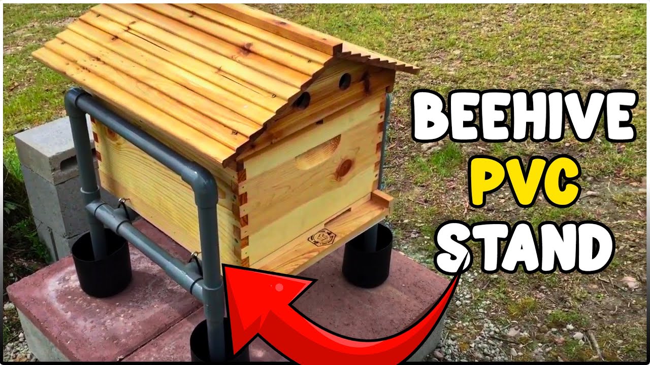 Creative PVC Beehive Stand Design to Prevent Ants - YouTube