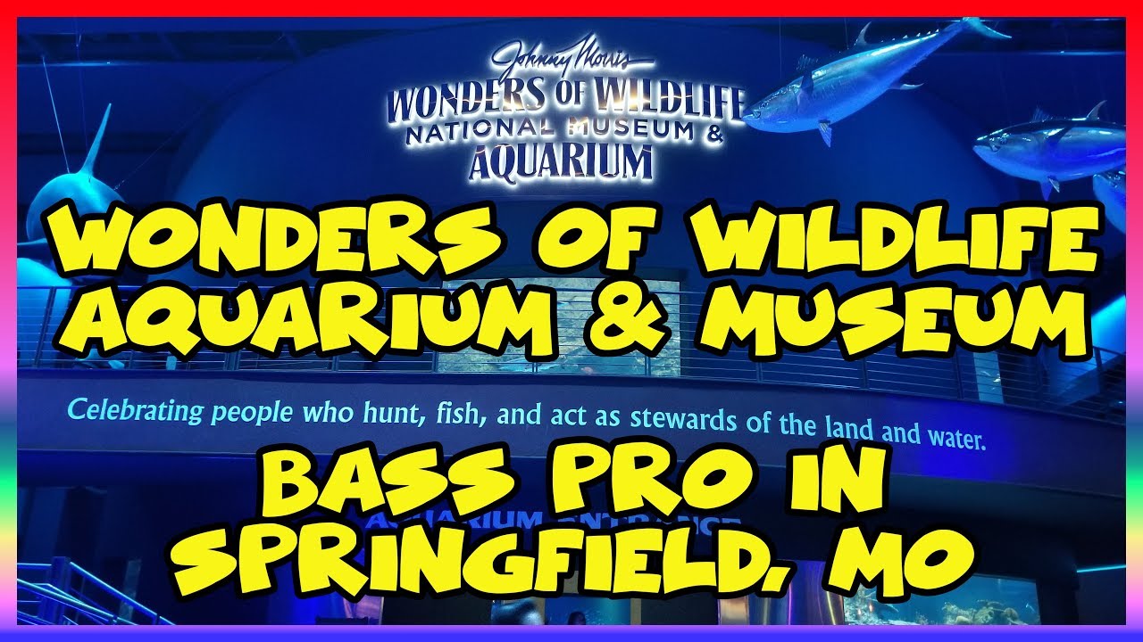 Wonders of Wildlife National Museum at Bass Pro- Springfield Missouri ...