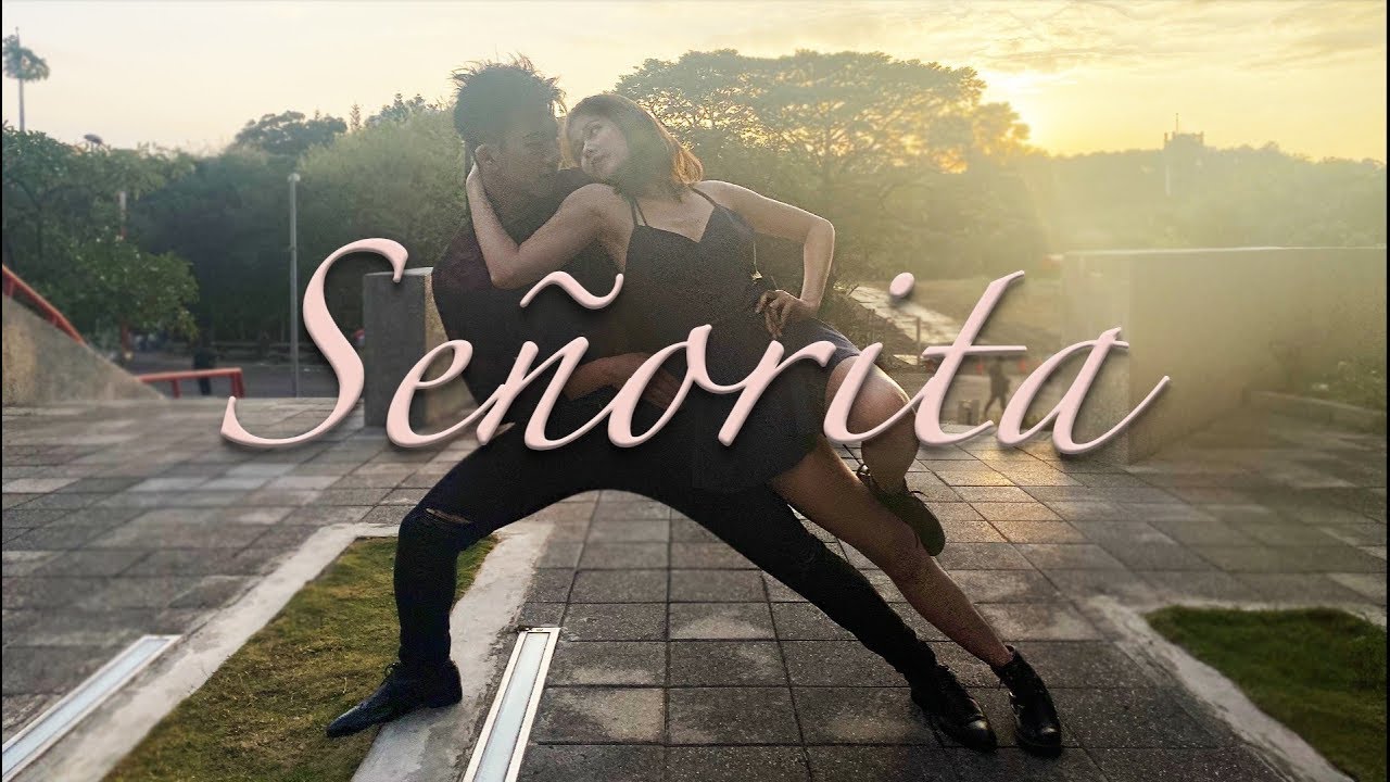 Shawn Mendes, Camila Cabello - Señorita / May J Lee X Austin Pak ...