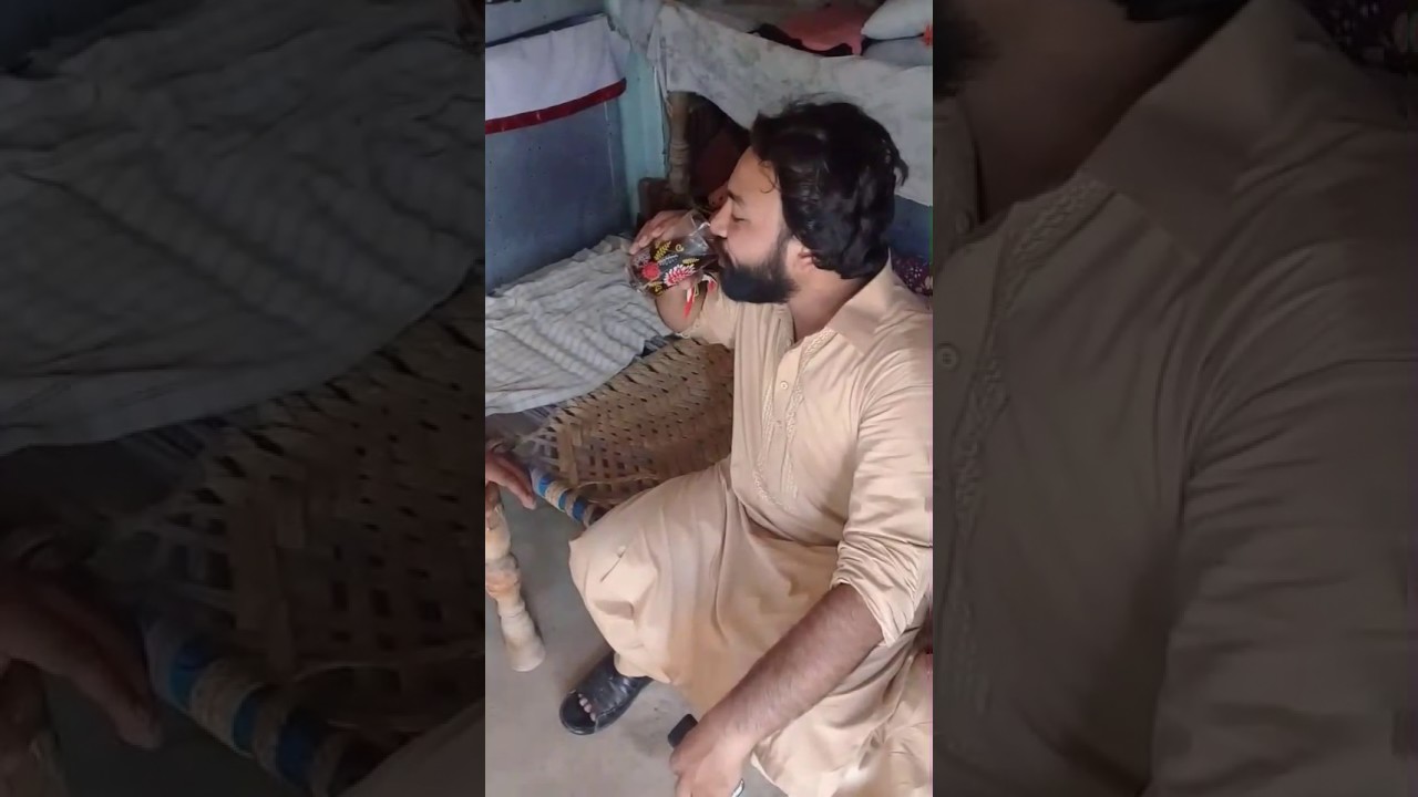 Rodu sultan - YouTube