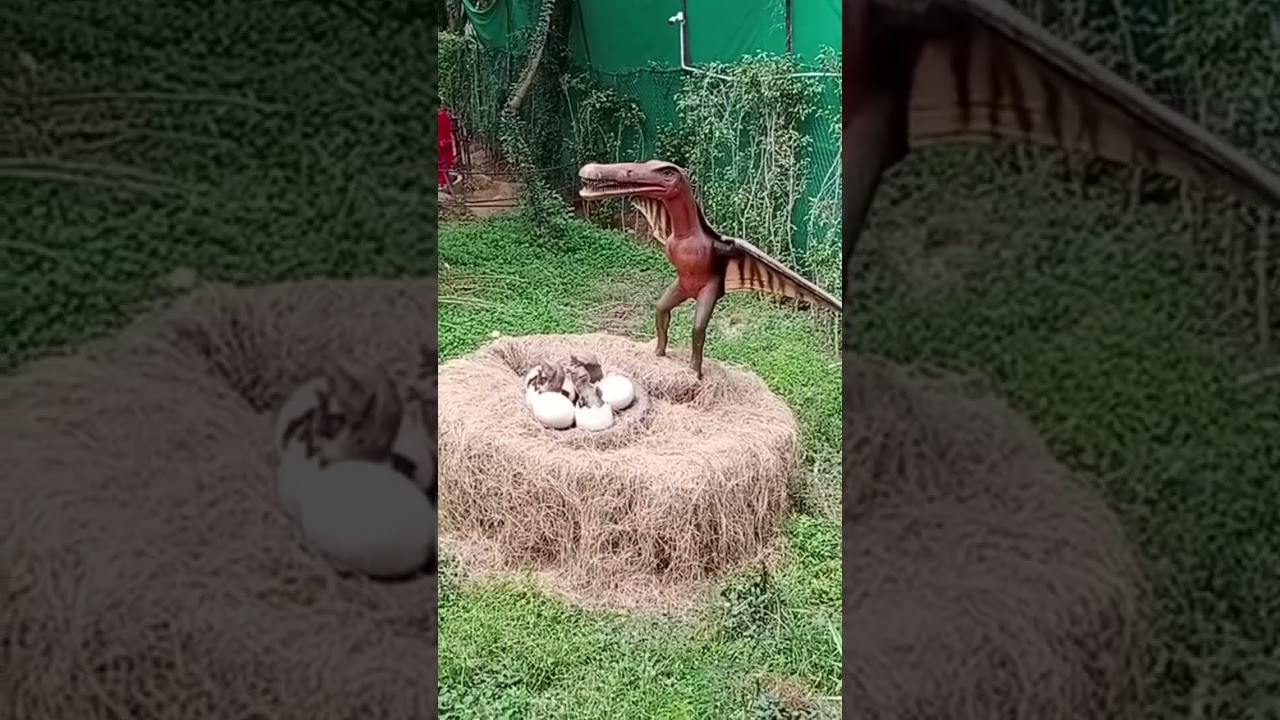 September 4, 2022 - YouTube