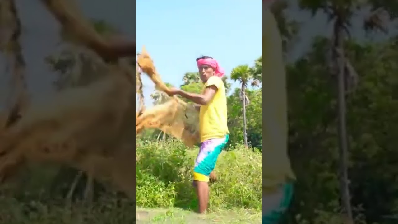 tuitui comedy videos 🤣 maha fun tv tui tui - YouTube