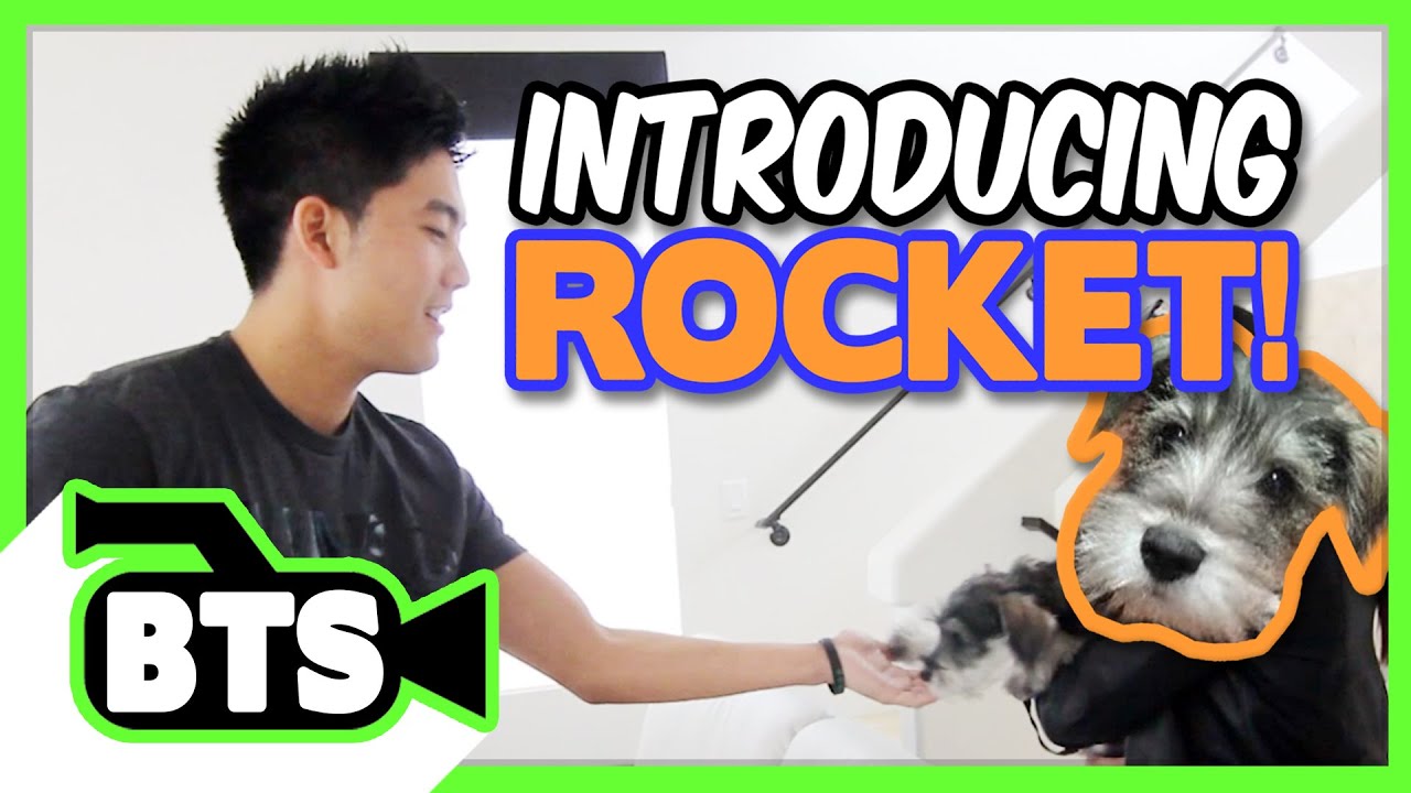 Introducing Rocket! (BTS) - YouTube