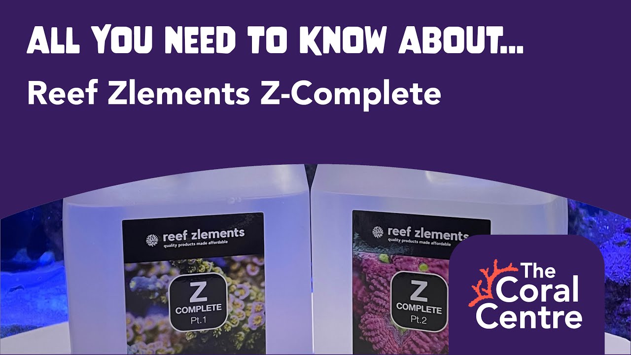 All you need to know about Reef Zlements Z Complete - YouTube