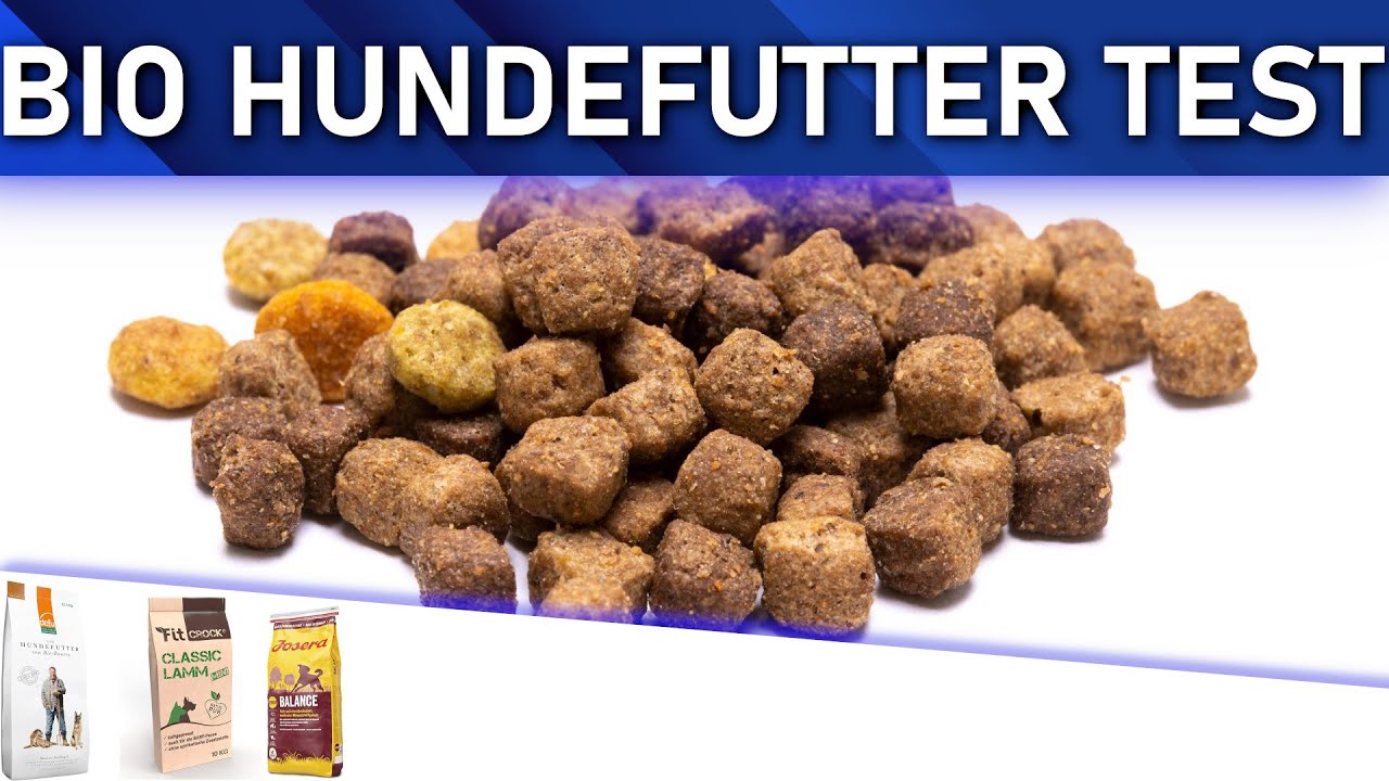 Bio Hundefutter Im Test