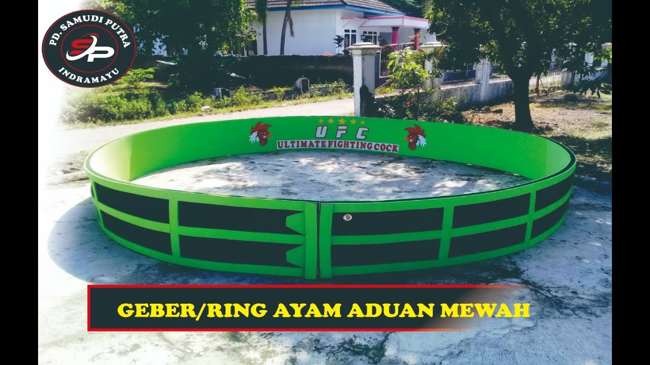 Pembuatan Geber ring spon arena ayam aduan/ ayam petarung MEWAH ...