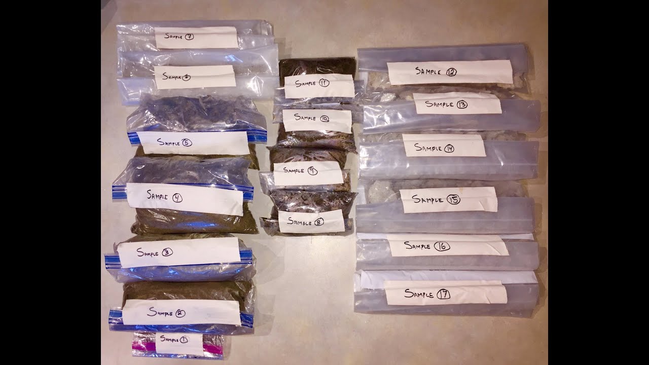 81: Digging up Samples - YouTube