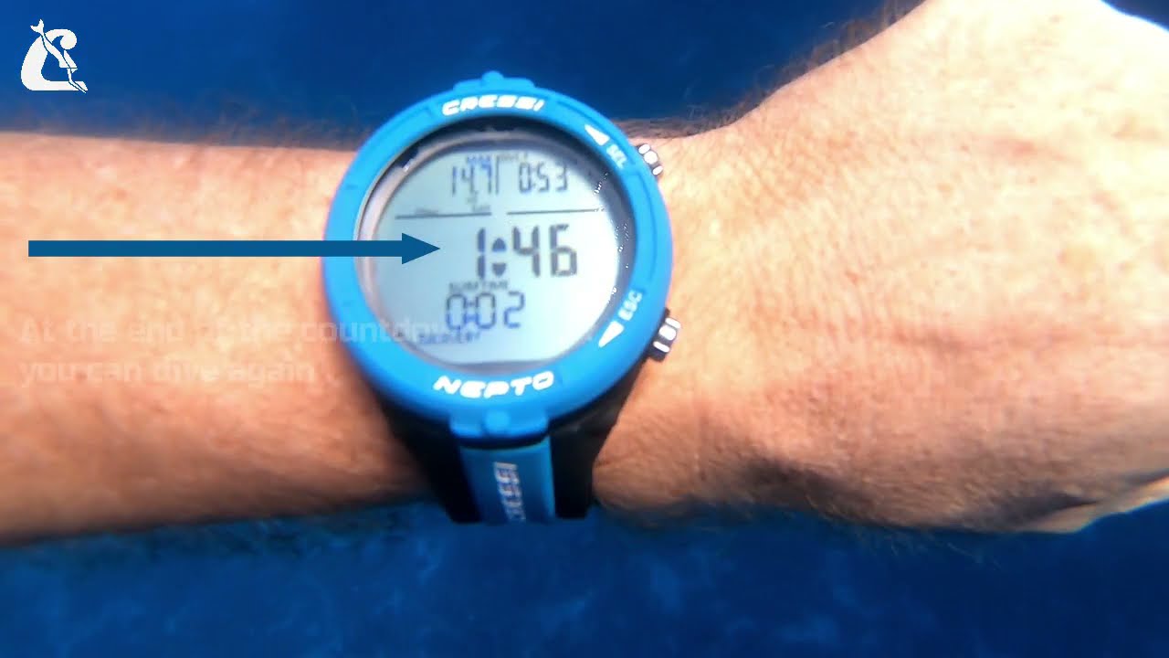 Cressi NEPTO Freedive Computer - YouTube