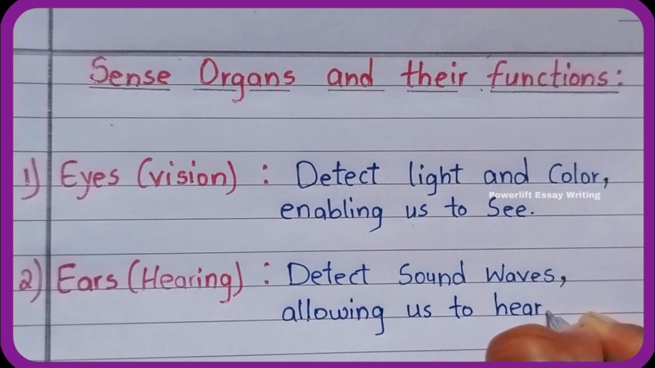 Sense Organs and their functions | Sense Organs name | 5 Sense Organs ...