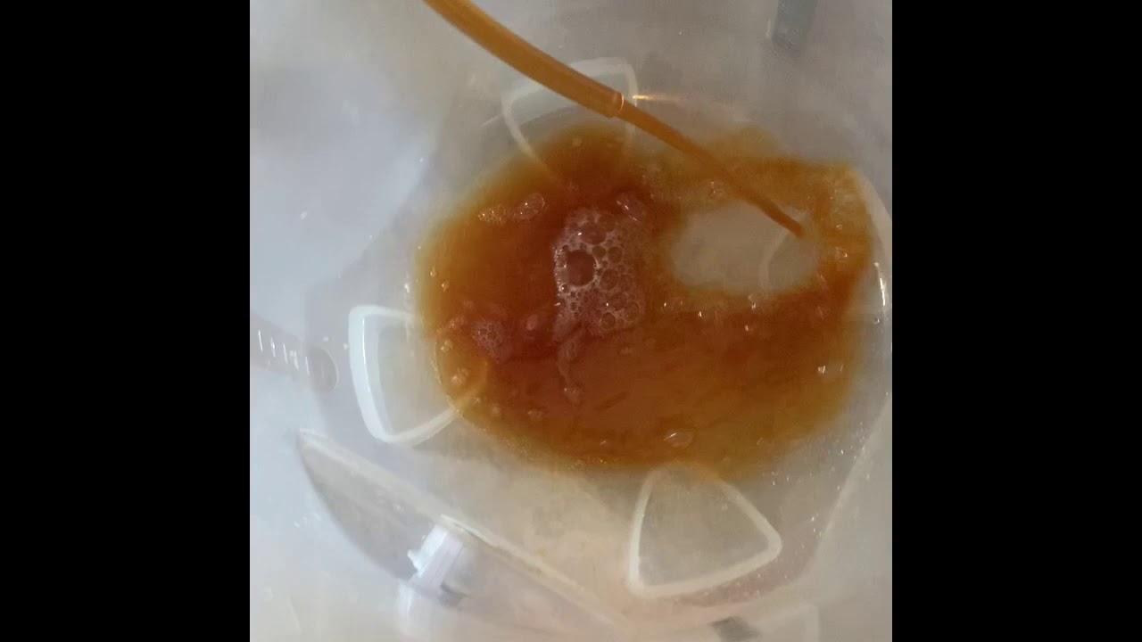 DIY Home Brew: Northern Brewer | Dead Ringer India Pale Ale Kit - Brew ...