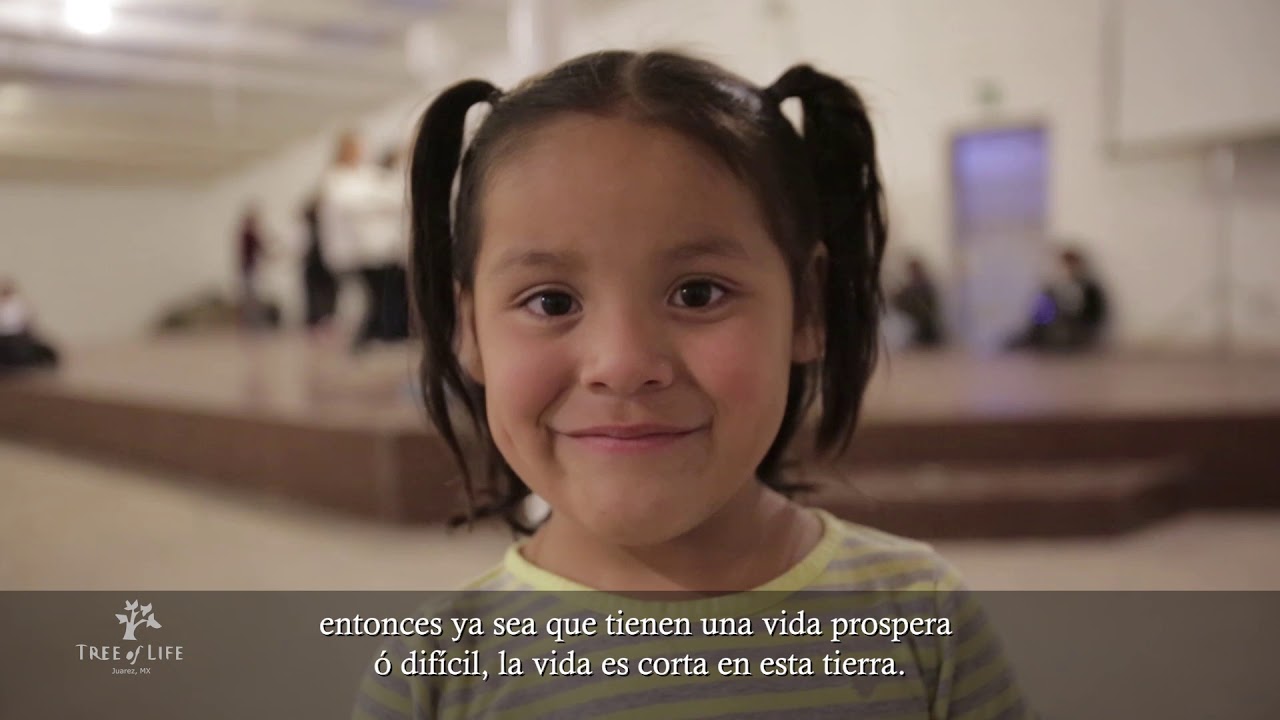 ArboldeVida - YouTube