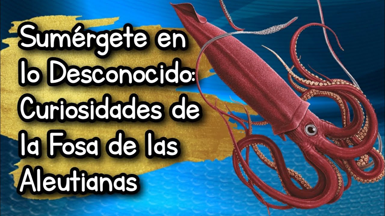 SUMÉRGETE en lo Desconocido: CURIOSIDADES de la FOSA de las ALEUTIANAS ...
