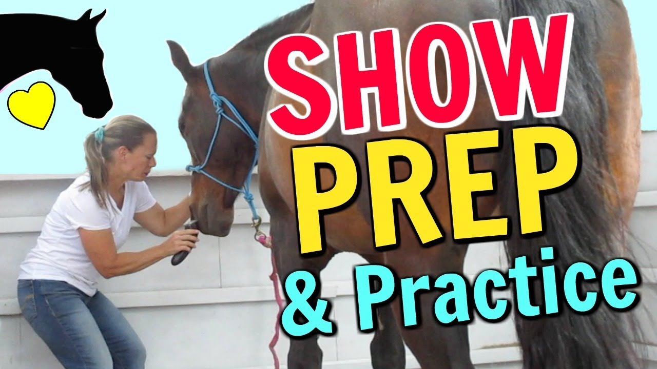 Getting Ready for Our FIRST Showmanship Class | Clipping & Practice ...