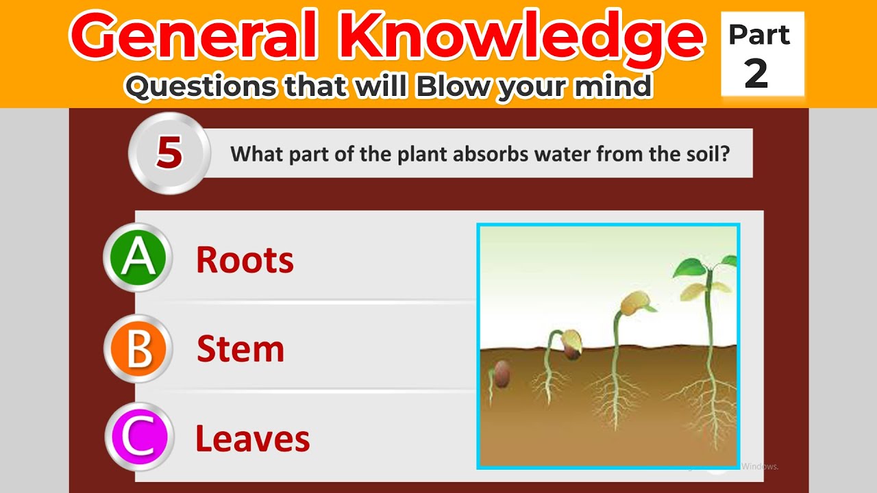 🧠 General Knowledge Series | Trees & Plants Part 2 | Quiz & Learning ...