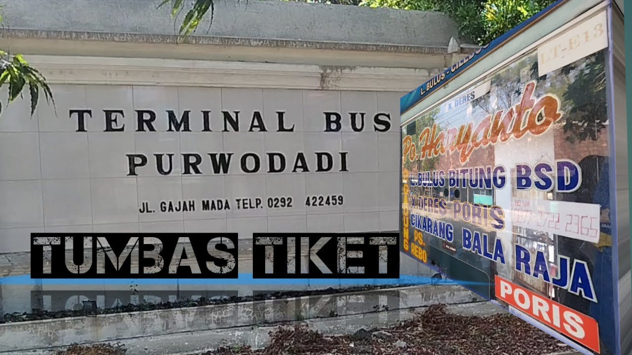 TUMBAS TIKET DI TERMINAL PURWODADI NUMPAK BIS PO. HARYANTO - YouTube