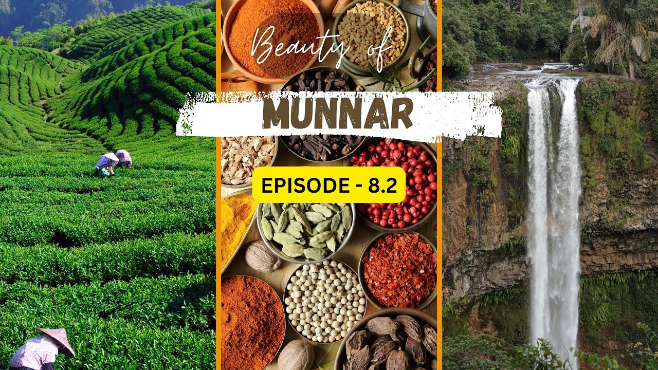 Exploring Munnar's Agricultural Delights: Tea, Coffee, Pepper & Bay ...