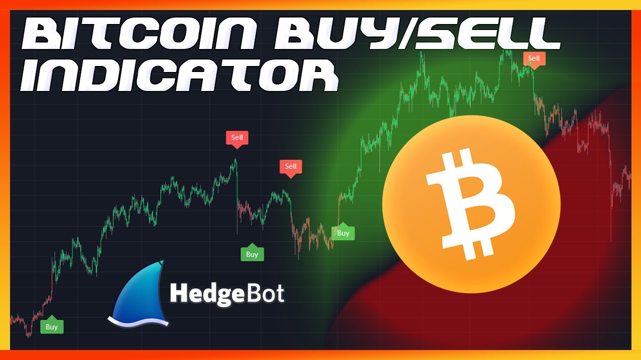 🚀Bitcoin BUY/SELL Indicator Timelaps - HedgeBotV2🦈 - YouTube