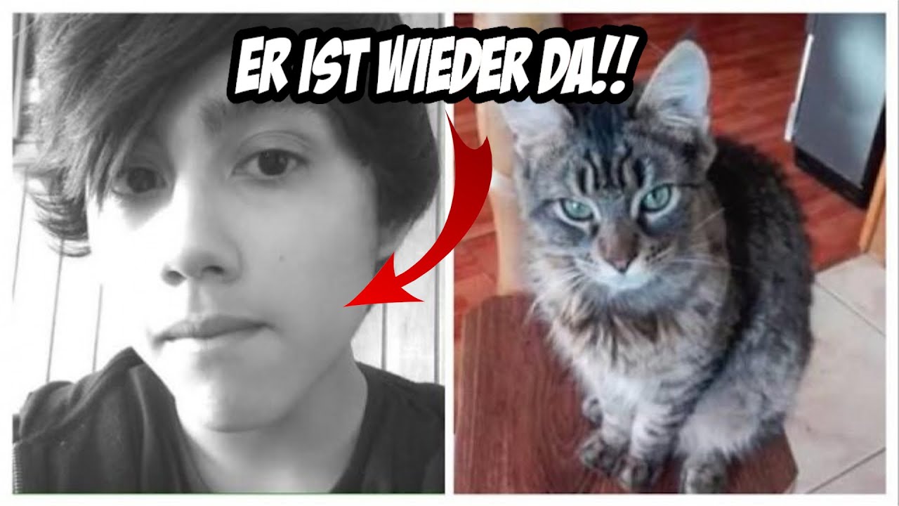 Peluchin Entertainment ist ZURÜCK!!!! - YouTube