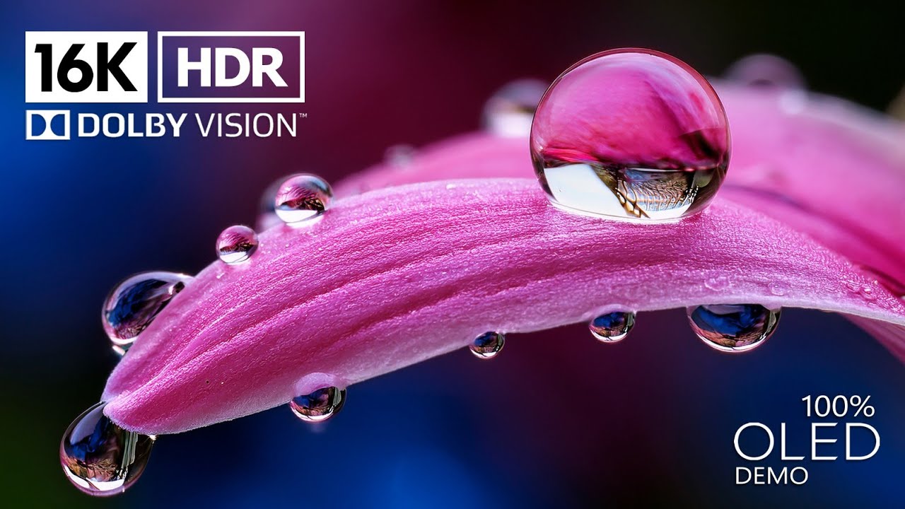 OLED Demo - 16K HDR Dolby Vision (60fps Video) - YouTube