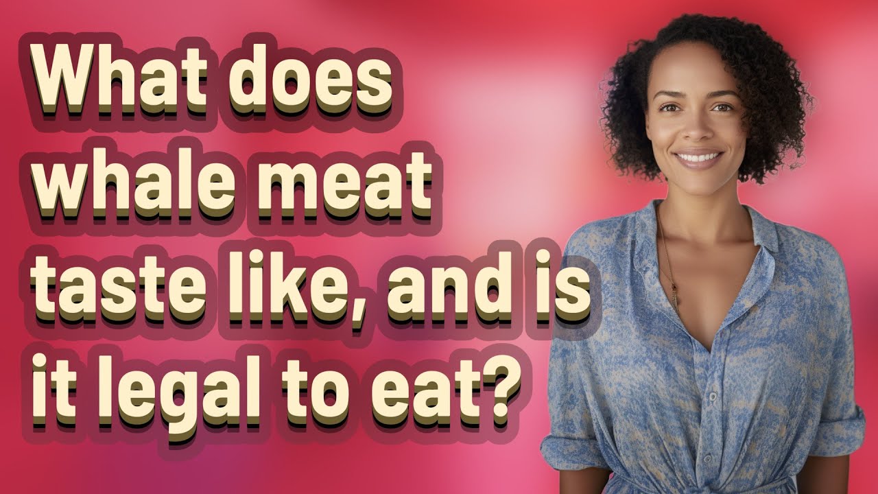 What does whale meat taste like, and is it legal to eat? - YouTube