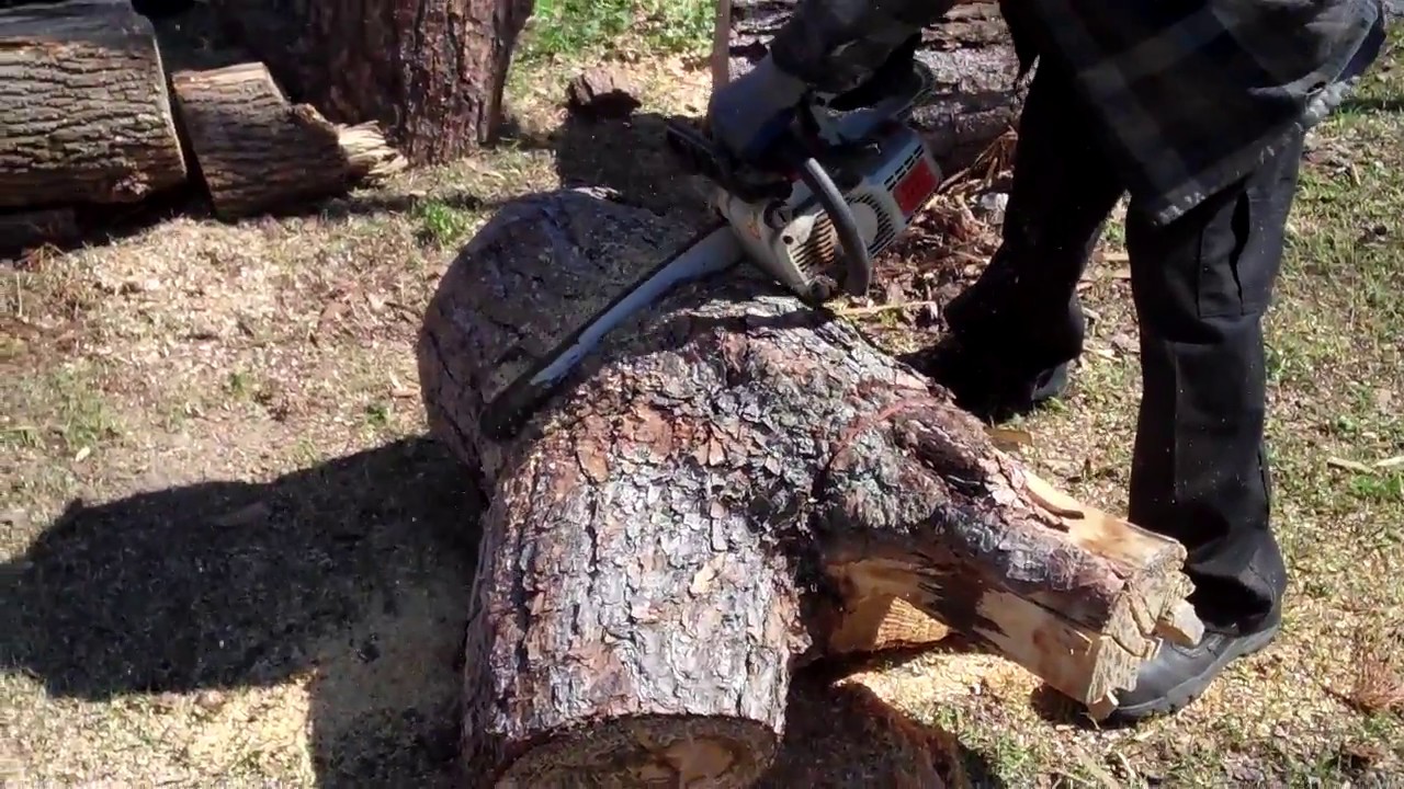 Stihl 009L 16" Cutting Through Pine Log - YouTube