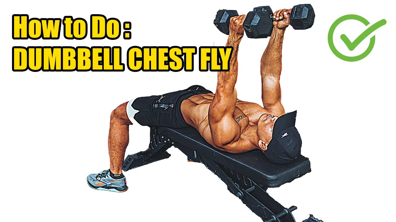 DUMBBELL CHEST FLY. - YouTube
