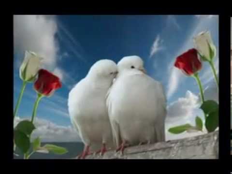 Abdurrahman ÖnüL - CemaLuLLah ((harika iLahi))