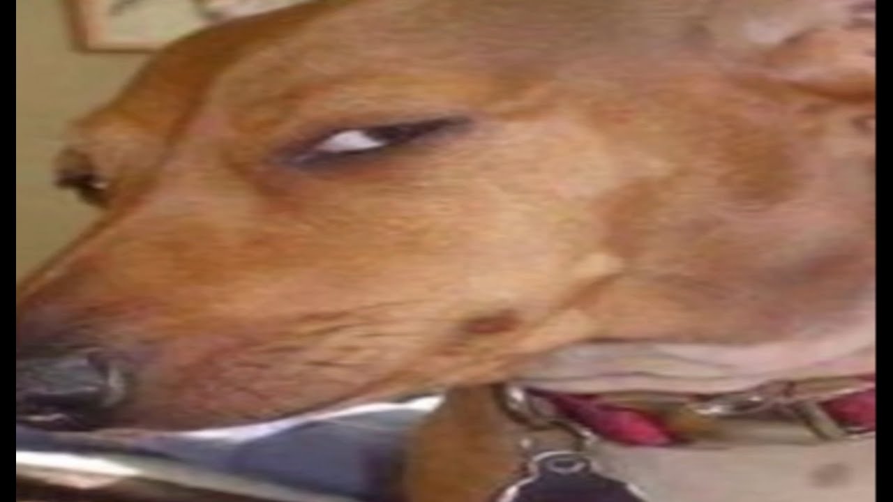 Offensive Discord memes that if ylyl v2 - YouTube