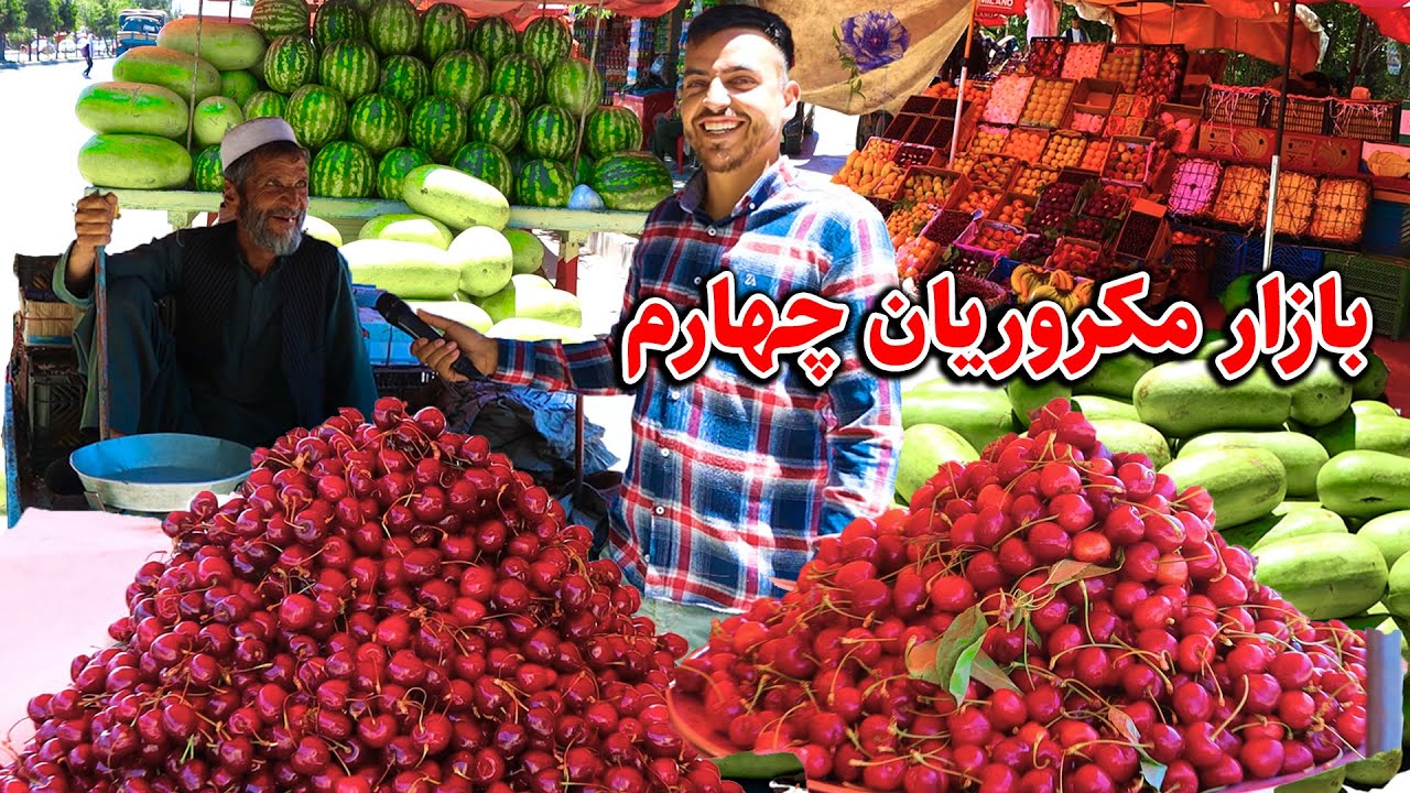 گزارش ضیا صالحی از مکروریان چهارم/Zia report, forth macroryan - YouTube
