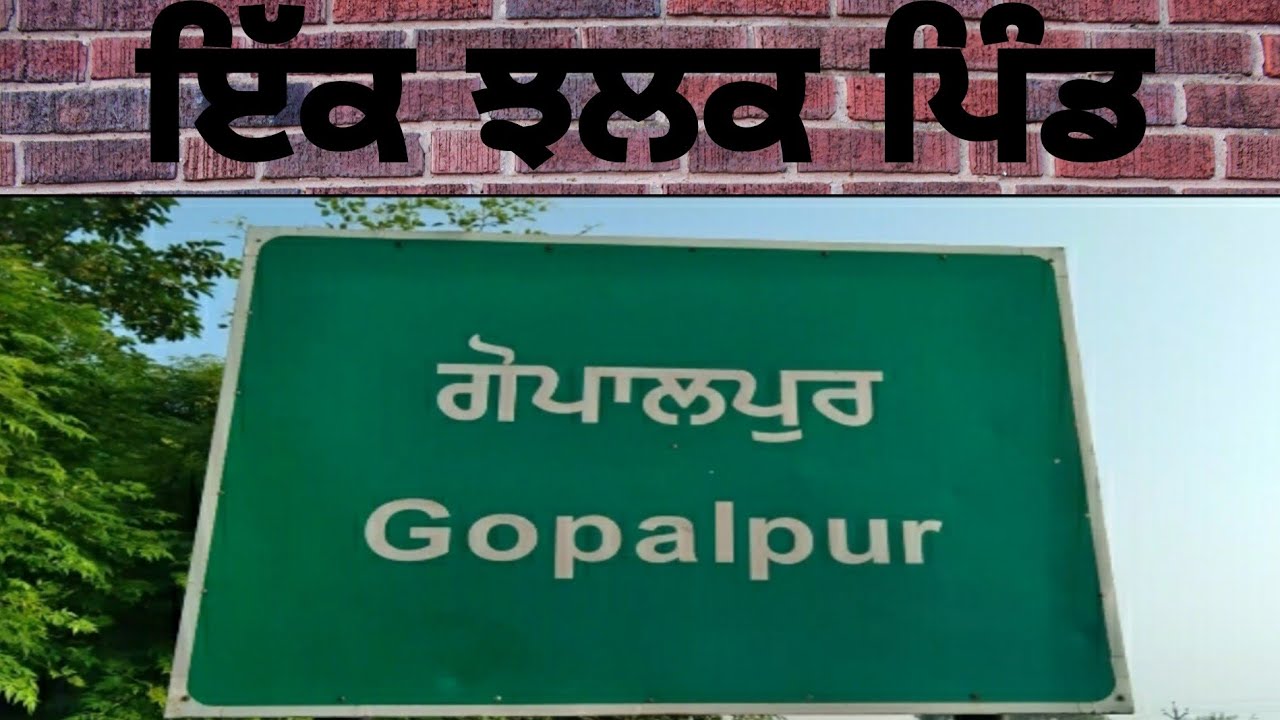 ਇੱਕ ਝਲਕ ਗੋਪਾਲਪੁਰ ਦੀ 🤩।।GOPALPUR PRODUCTIONS।। Must watch full video 🙏 ...