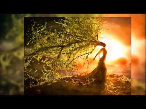 Heart by Aysel Salman