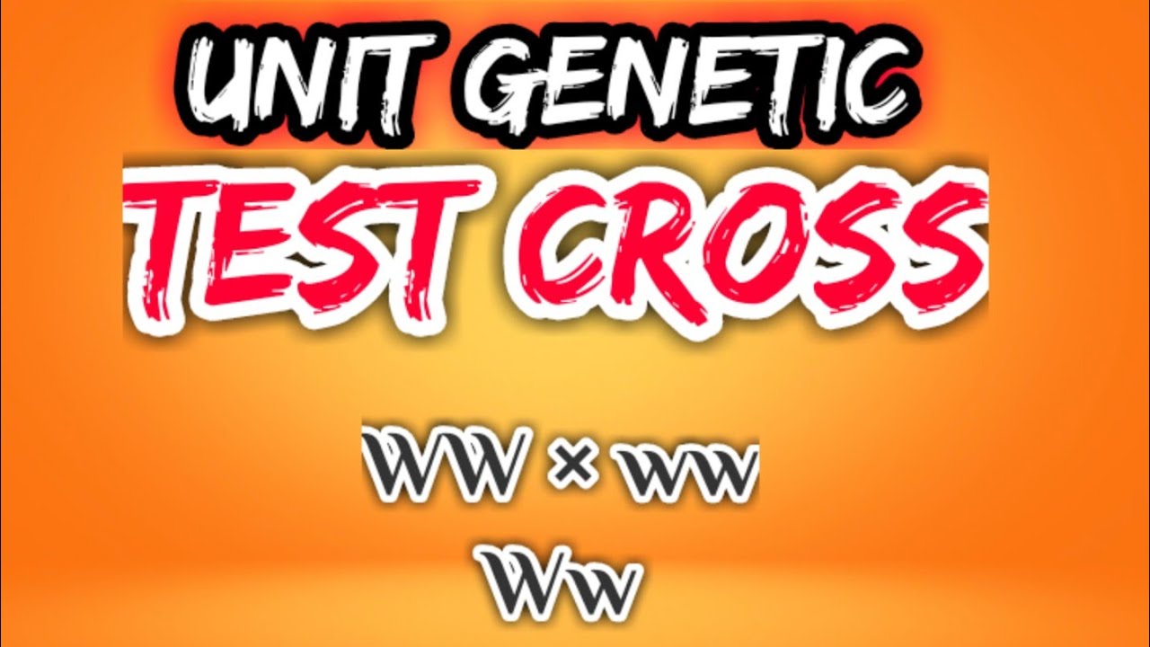 Test cross || परीक्षण पार || Biology notes || - YouTube