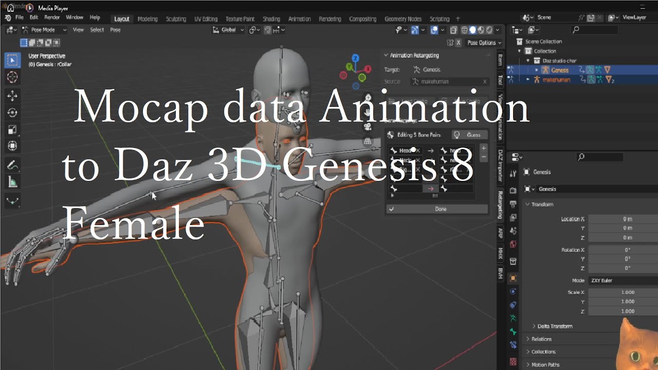 Retarget Mocap Animation To Daz 3D Genesis 8 Female - YouTube