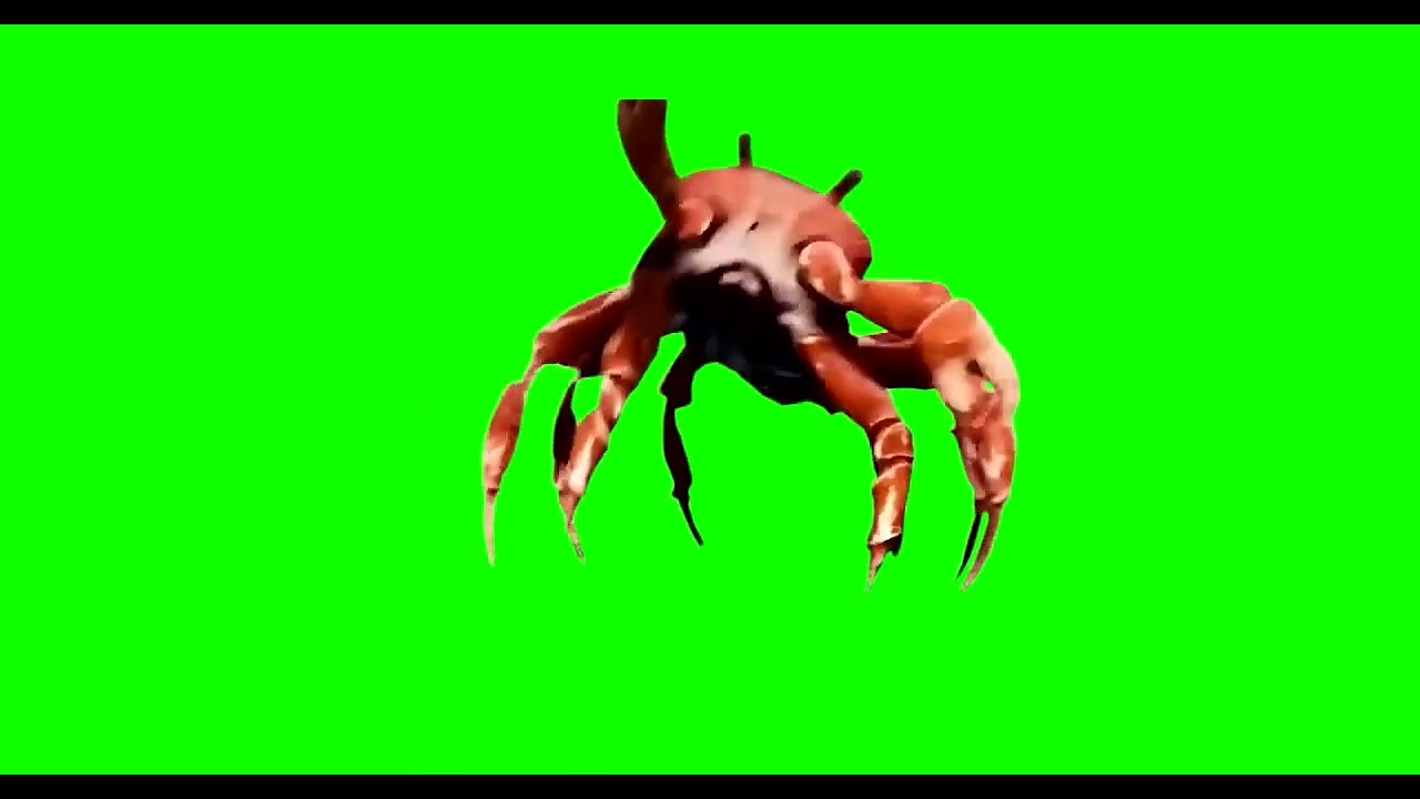 Cat Vibing Crab Rave Green Screen - YouTube