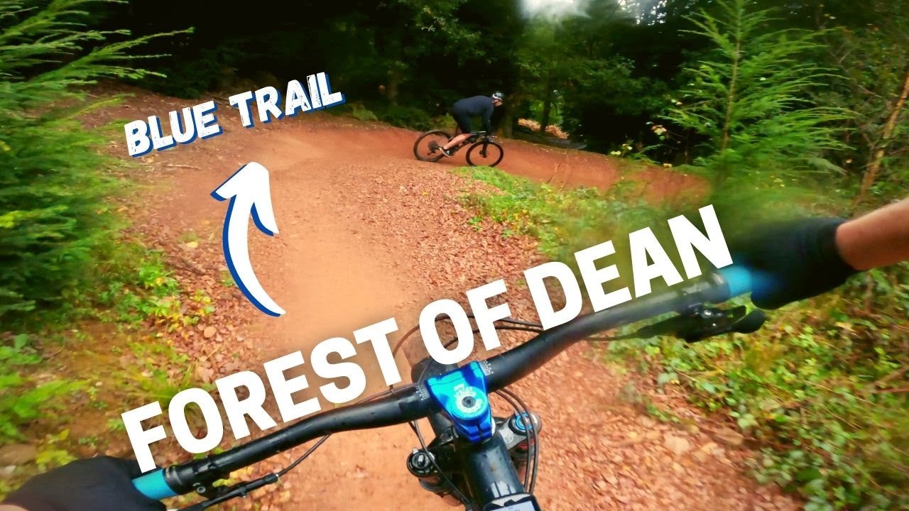 Best blue XC trail in the UK! | MTB Forest of Dean - YouTube