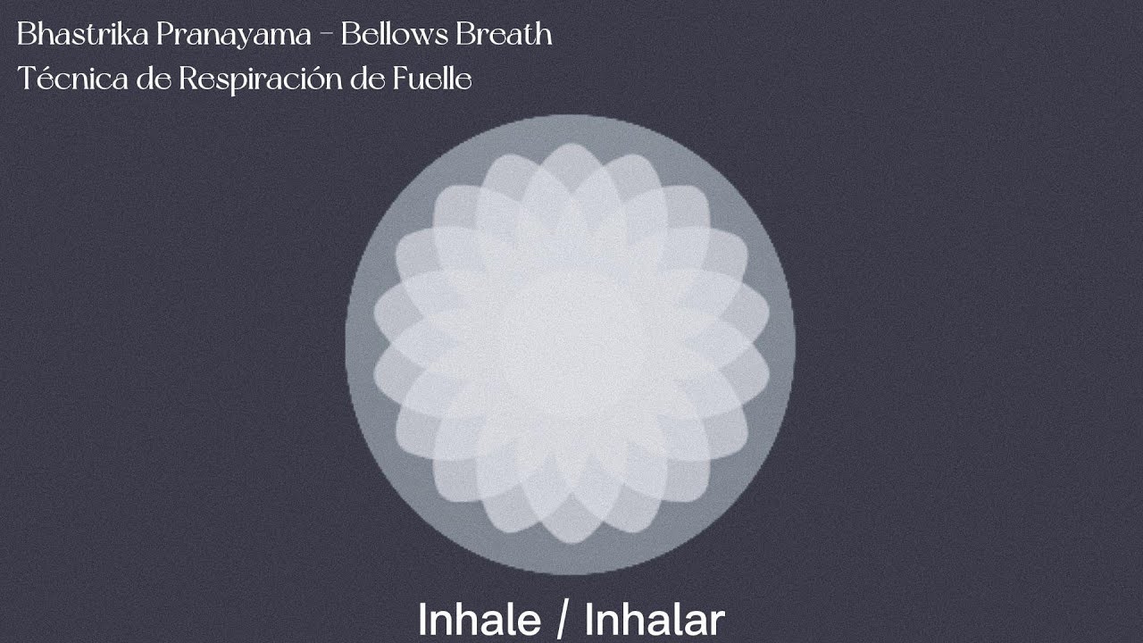 The Energy Booster: Bellows Breathing Technique for a Quick Pick-Me-Up ...