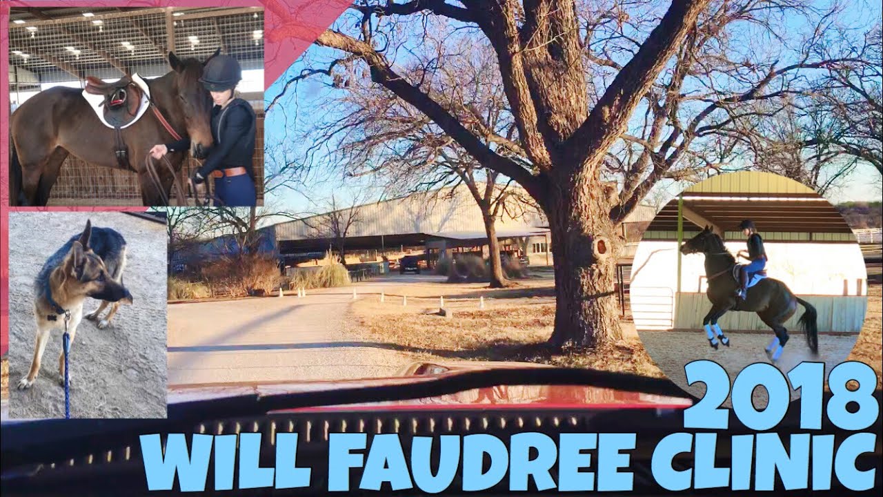 WILL FAUDREE CLINIC // vlog 2018 - YouTube