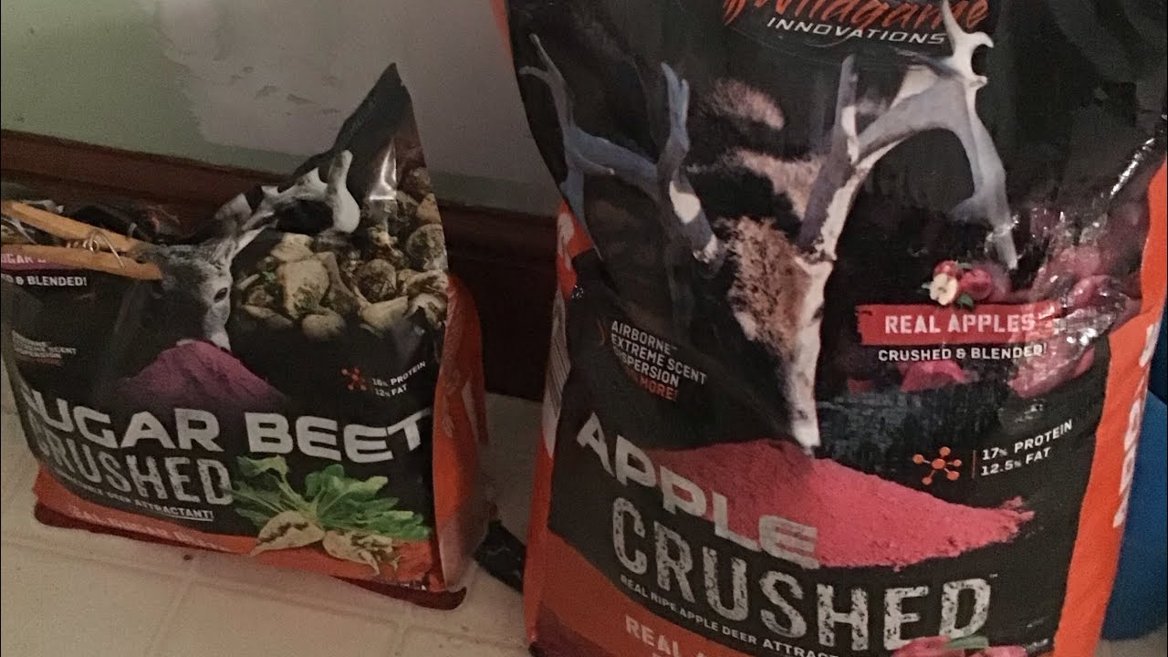 Testing the sugar beet crushed vs. apple crushed- which do wildlife ...