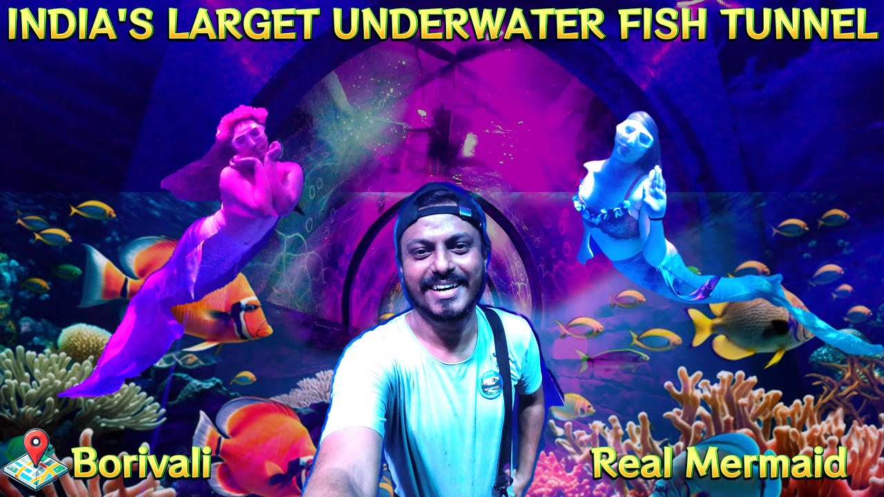 Underwater Fish Tunnel & Mermaid Show Borivali Kora Kendra | India's ...