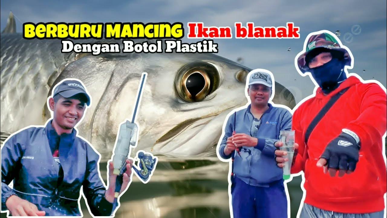 Berburu Mancing Ikan Belanak Pakai Botol Plastik - YouTube
