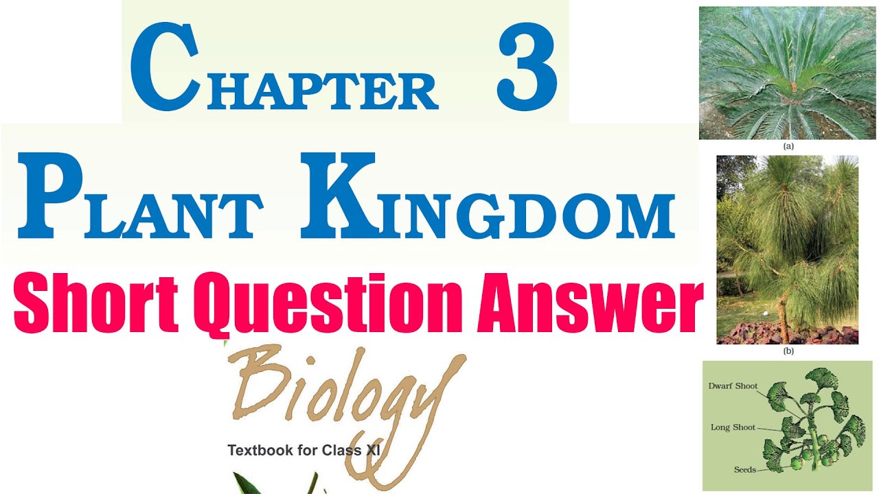 3 - Plant Kingdom (Short Question Answer) | Class 11 NCERT Biology ...