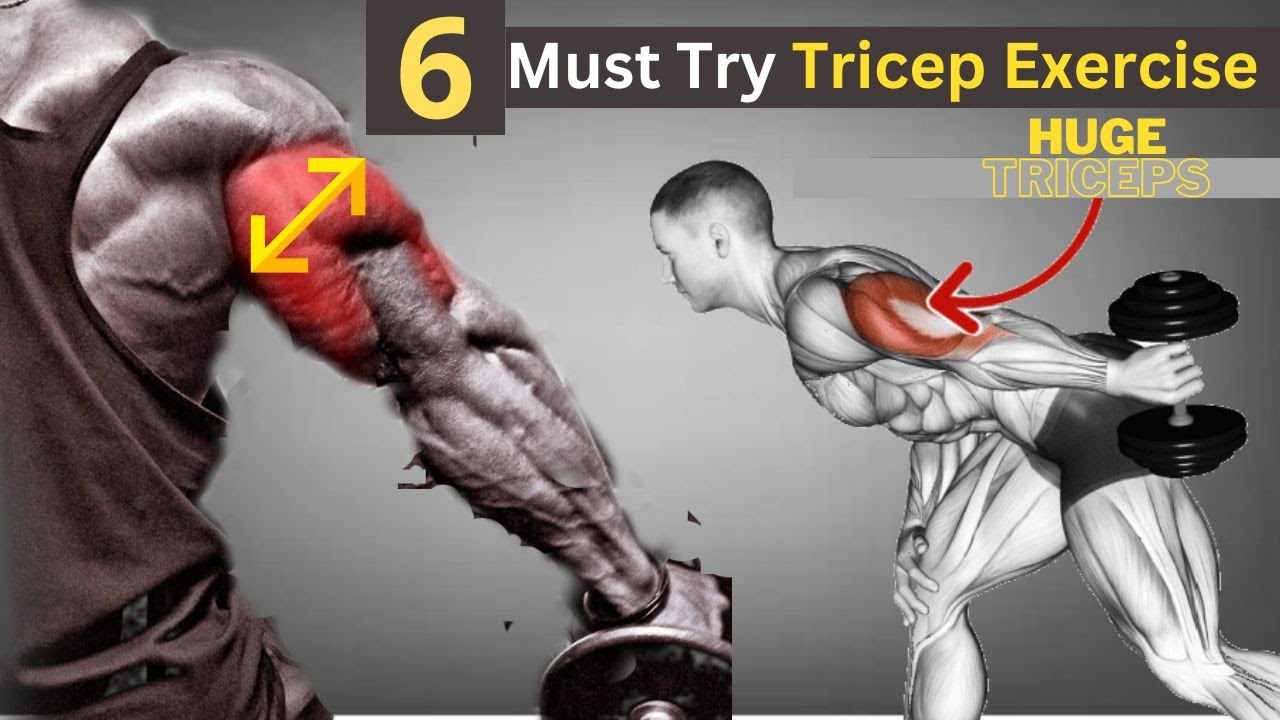 Top 6 MUST TRY Perfect Triceps Exercises For Mass - Gym Body Motivation ...