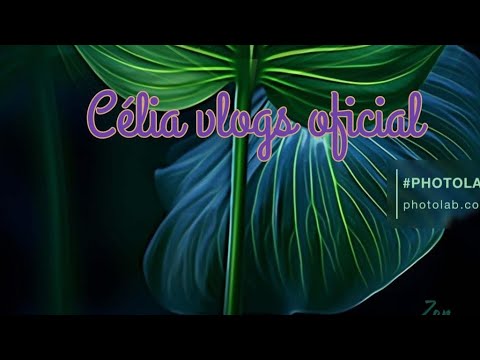 Celia Vlogs Oficial está ao vivo! - YouTube