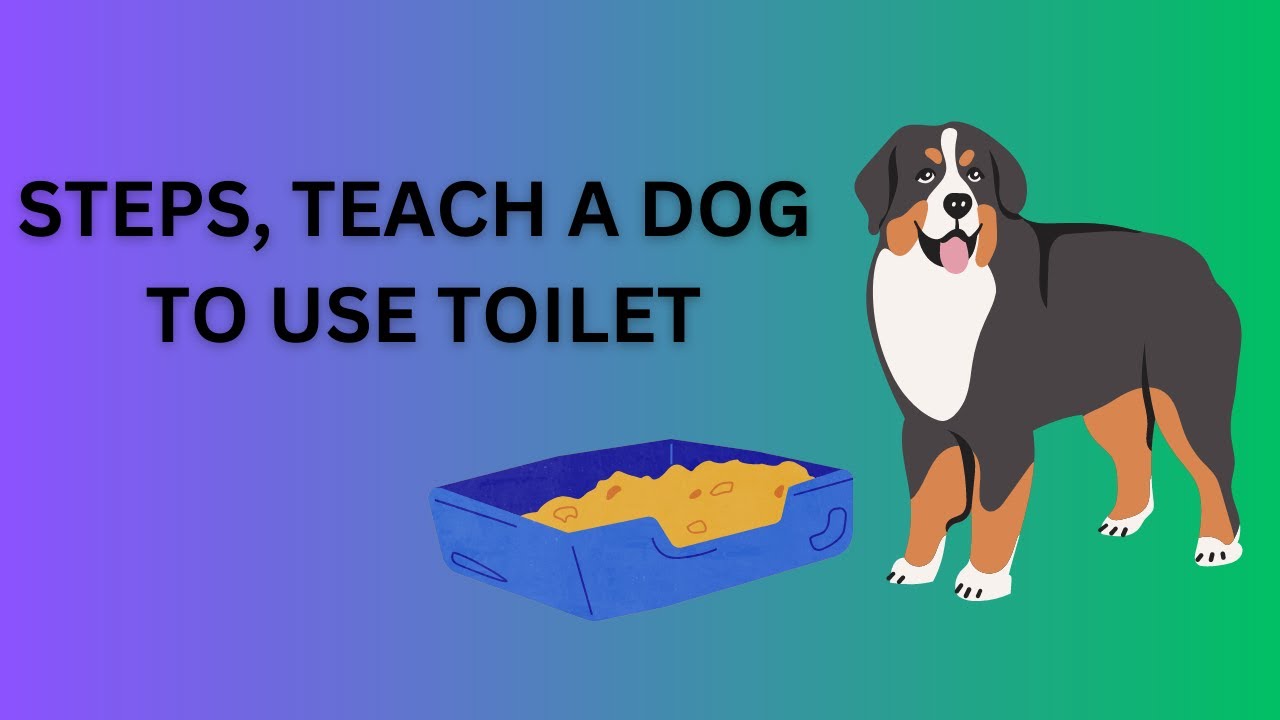 "Potty Training Revolution: Teaching Dogs to Use the Toilet!" - YouTube