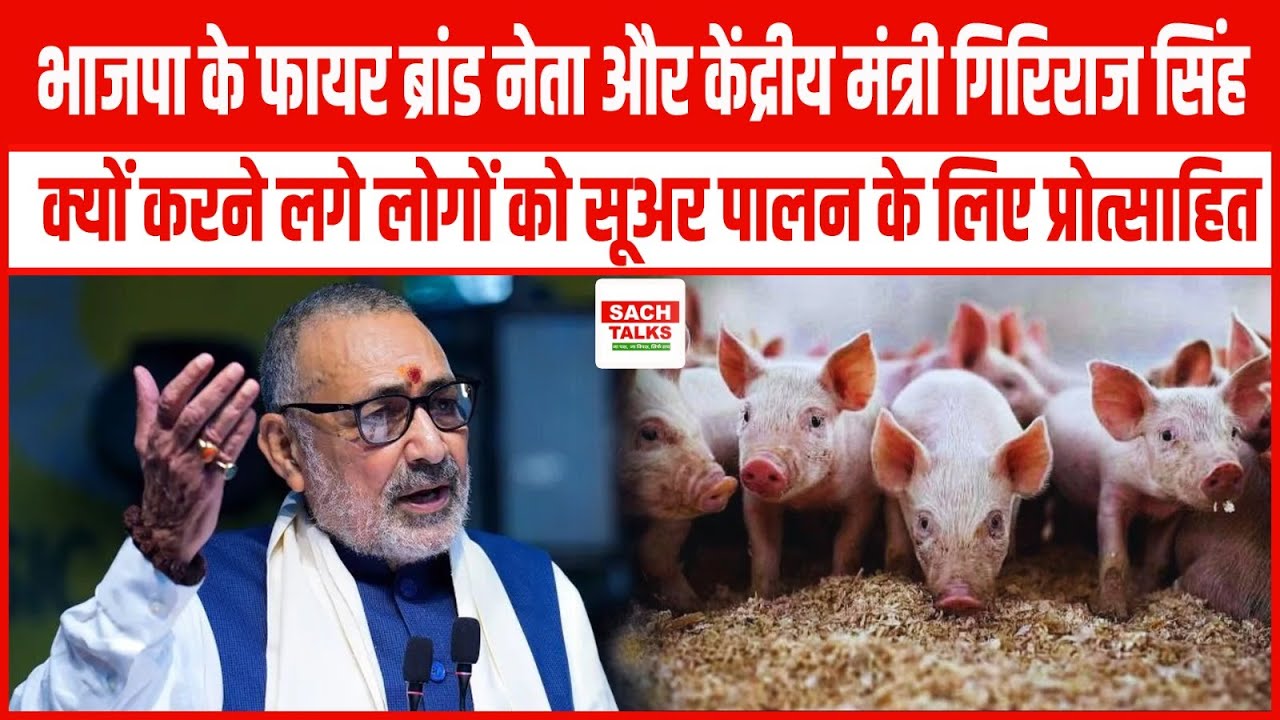 BJP के Fire Brand नेता Giriraj Singh क्यों करने लगे लोगों को सू-अर पालन ...