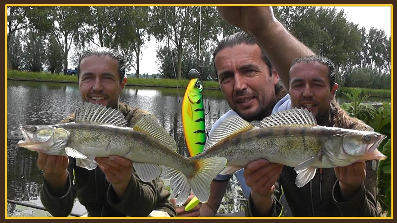 Snoekbaarzen vanaf de kant 2024 - Vissen op snoekbaars met shads #78 ...