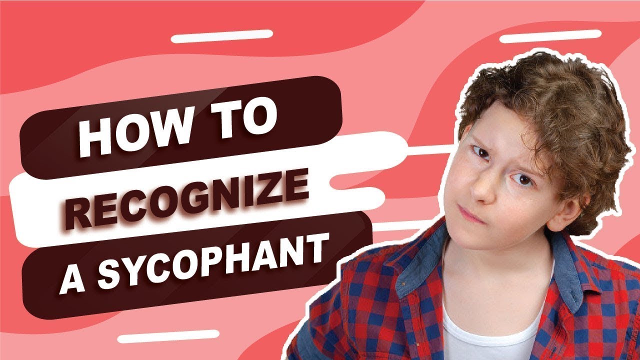 How to Recognize A Sycophant - YouTube